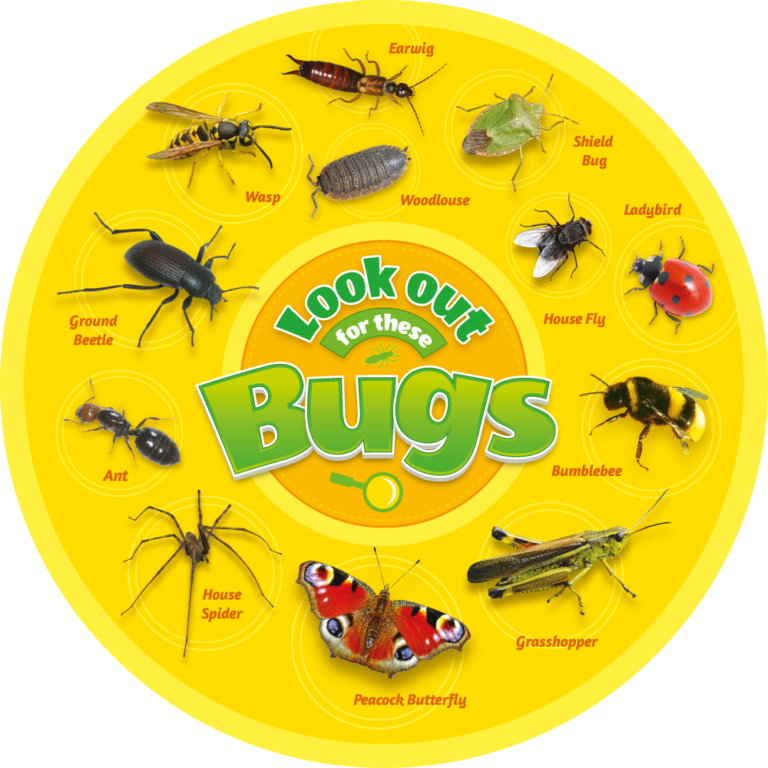 Bug Identification Sign, Circular - Perfect for School Nature Areas