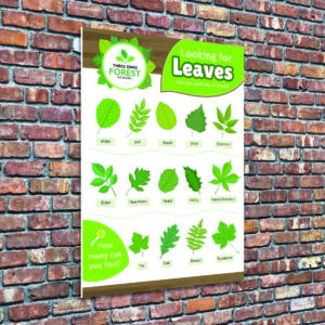 Tree Leaf Identification Sign - Perfect for Nature Areas & Forest Schools