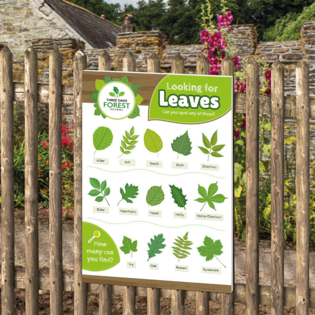 Tree Leaf Identification Sign - Perfect for Nature Areas & Forest Schools