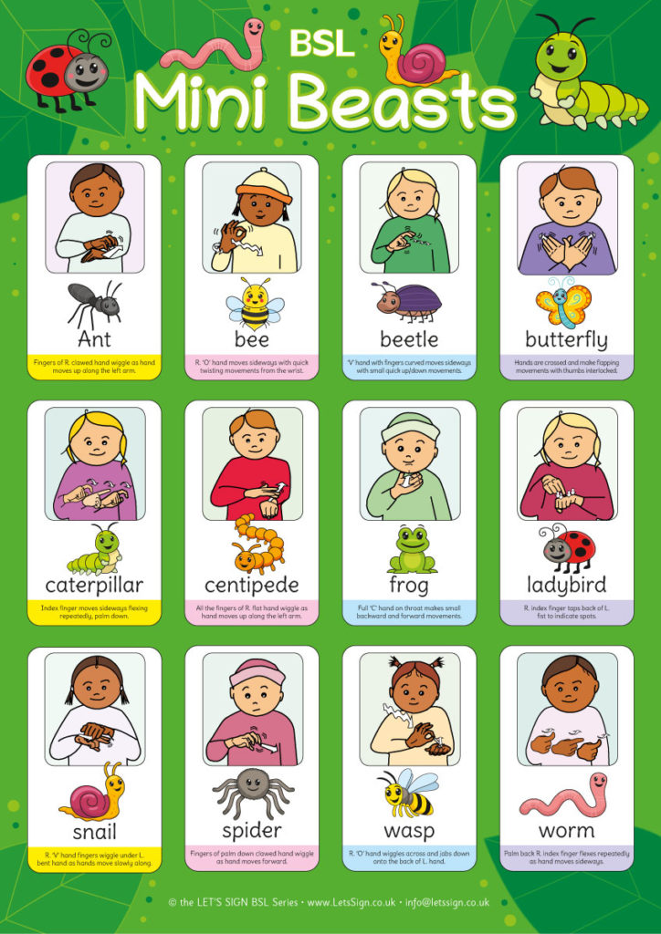 BSL Mini Beasts Sign - British Sign Language Sign for Schools
