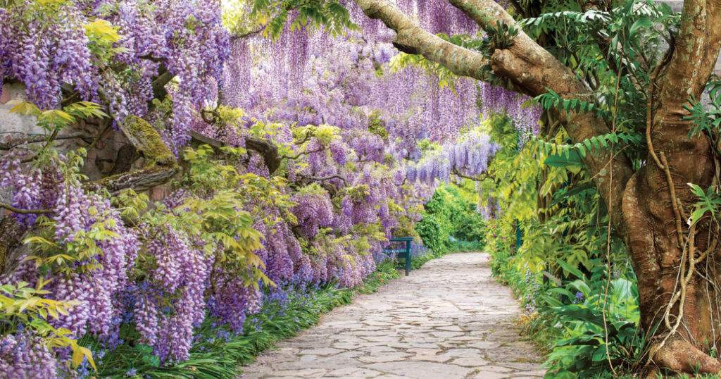 Secret Garden Wallpaper - Custom Wall Coverings for Schools