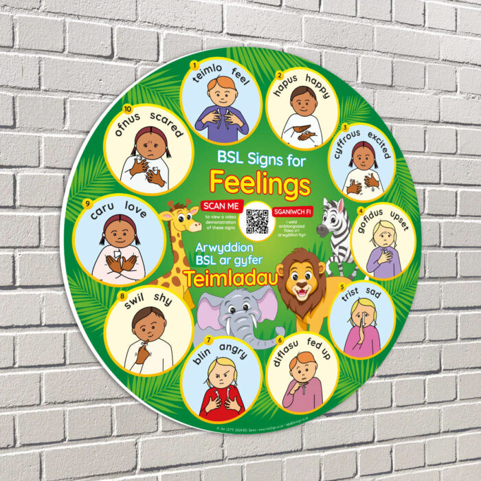 BSL Feelings Sign - Welsh - British Sign Language for Schools