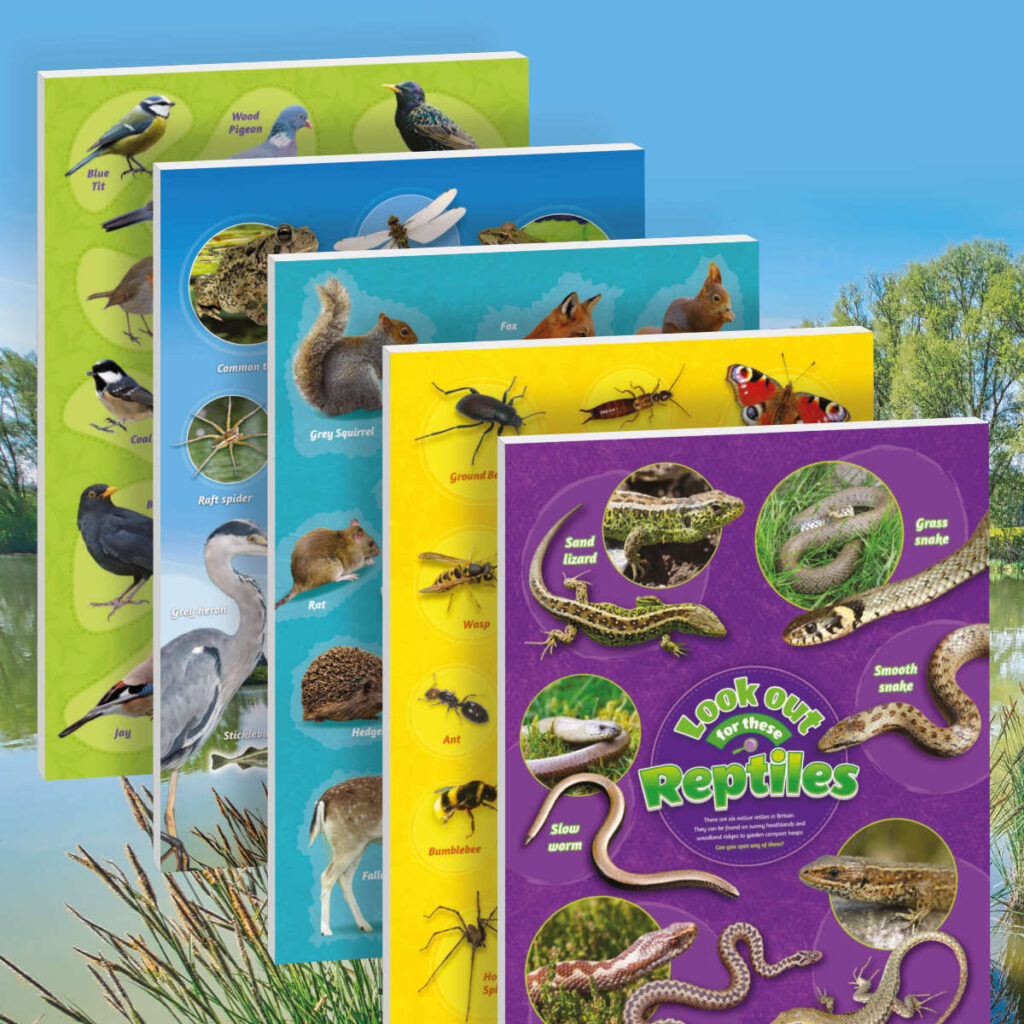 Animal Identification Signs - 5 Sign Bundle - The School Sign Shop